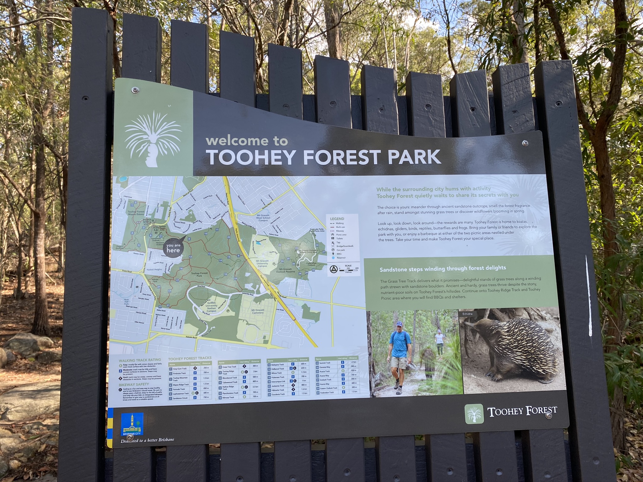 Toohey Forest, Jul/Aug 2020 – Bird Spots