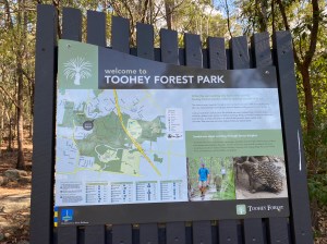 Toohey Forest, Jul/Aug 2020 – Bird Spots