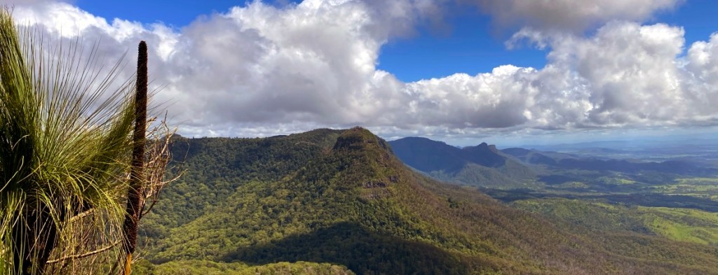 Cunningham’s Gap, Aug-Sep 2020 – Bird Spots