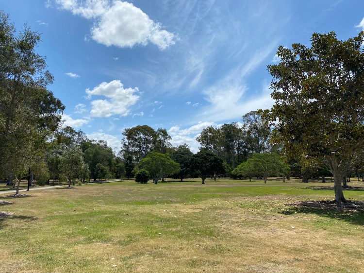 Capalaba Regional Park, Oct 2020 – Bird Spots