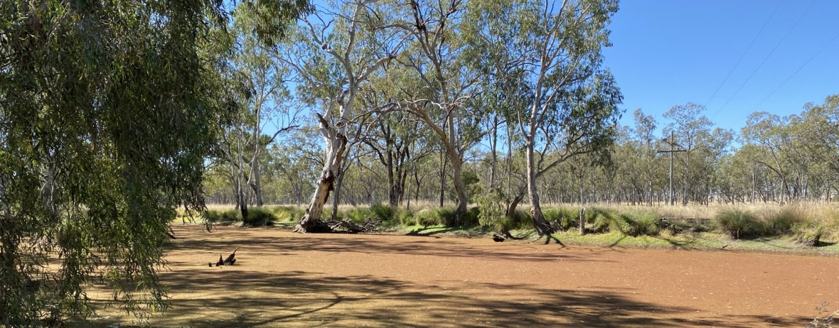 Injune Lagoon, Aug 2021 – Bird Spots