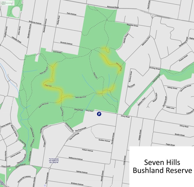 Seven Hills Bushland Reserve, Nov 2020 – Bird Spots