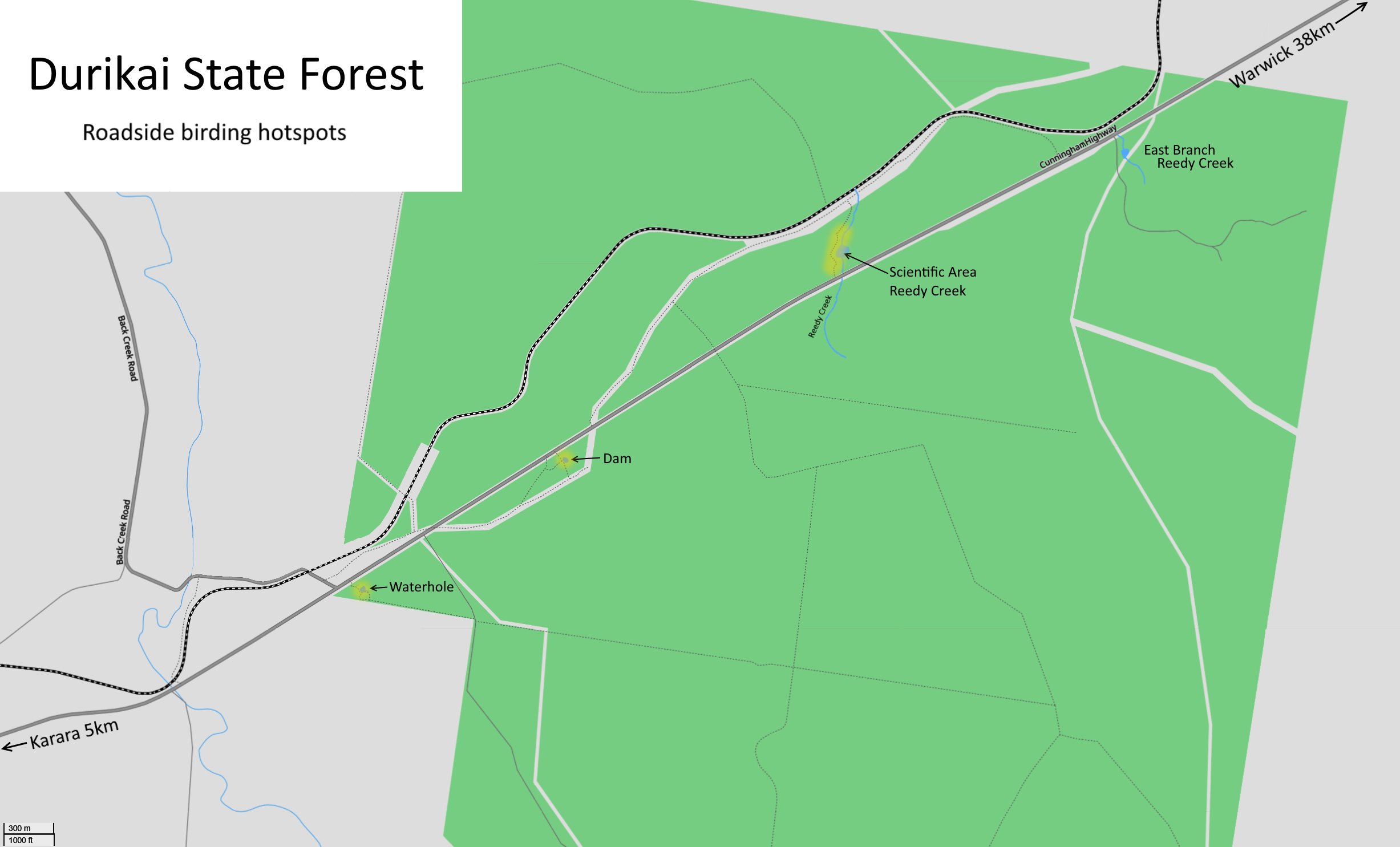 Darling Downs – Bird Spots