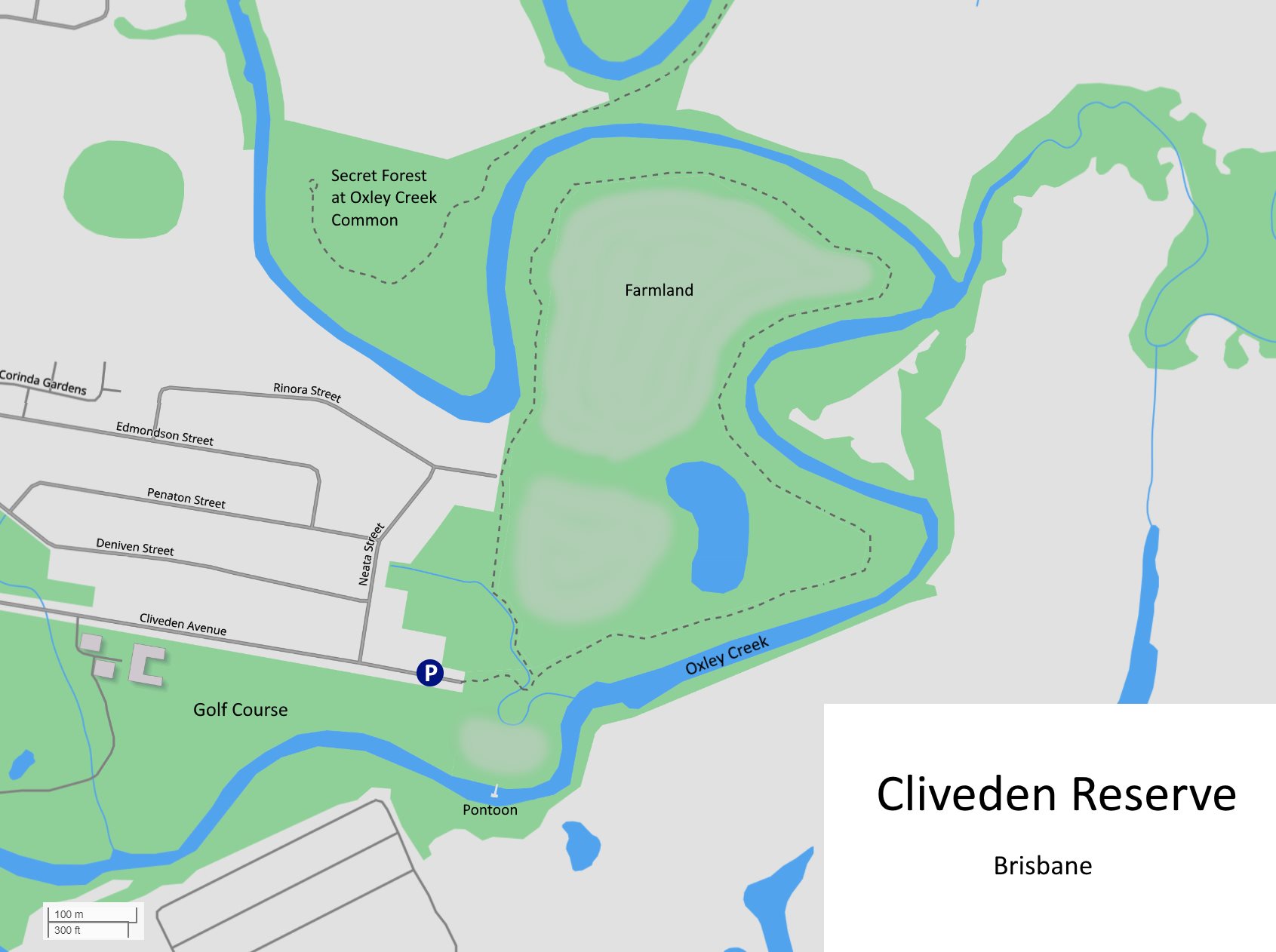 Cliveden Reserve, Jan 2021 – Bird Spots