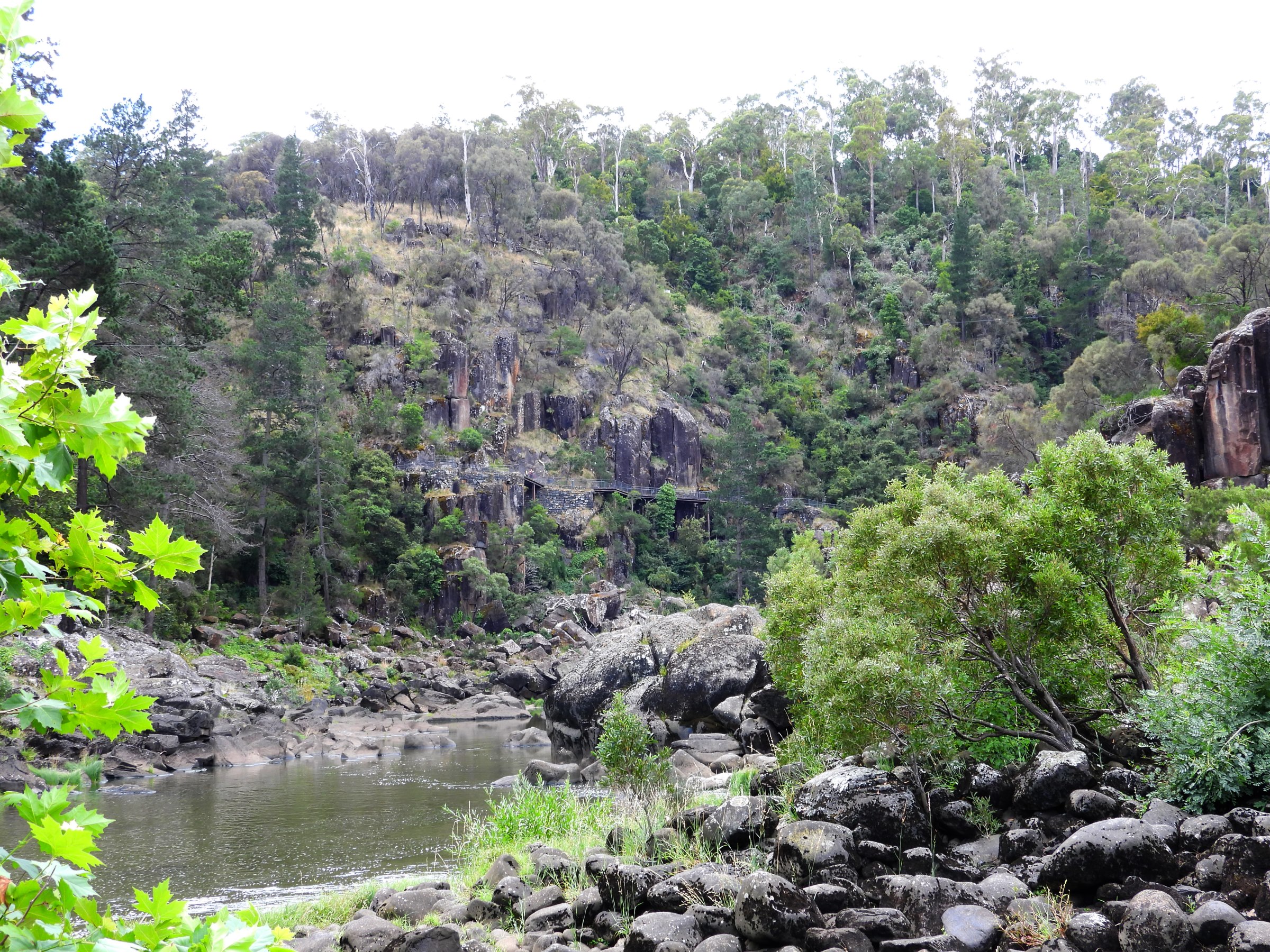 Cataract Gorge, Feb 2021 – Bird Spots