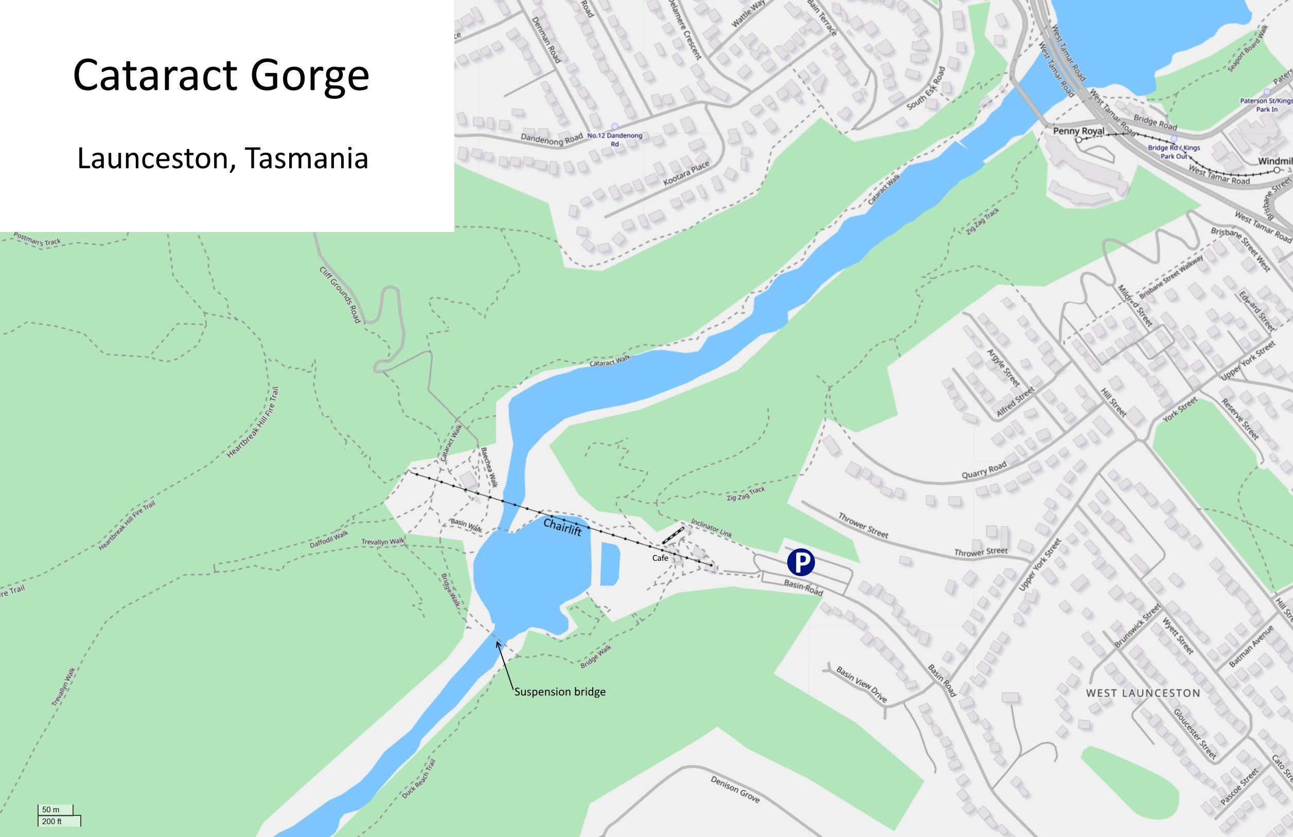 Cataract Gorge, Feb 2021 – Bird Spots