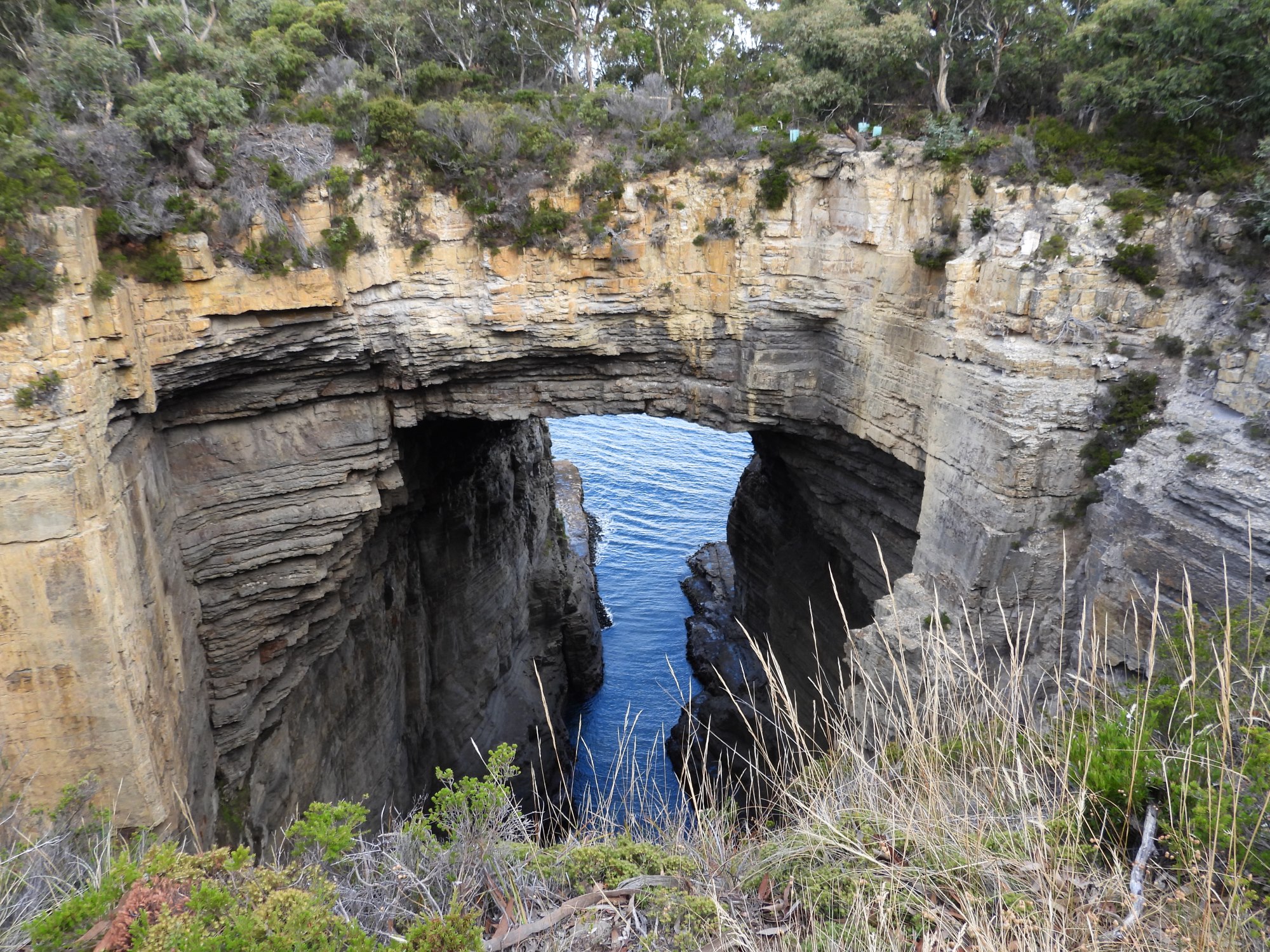 Tasman Arch and Blowhole, Feb 2021 – Bird Spots