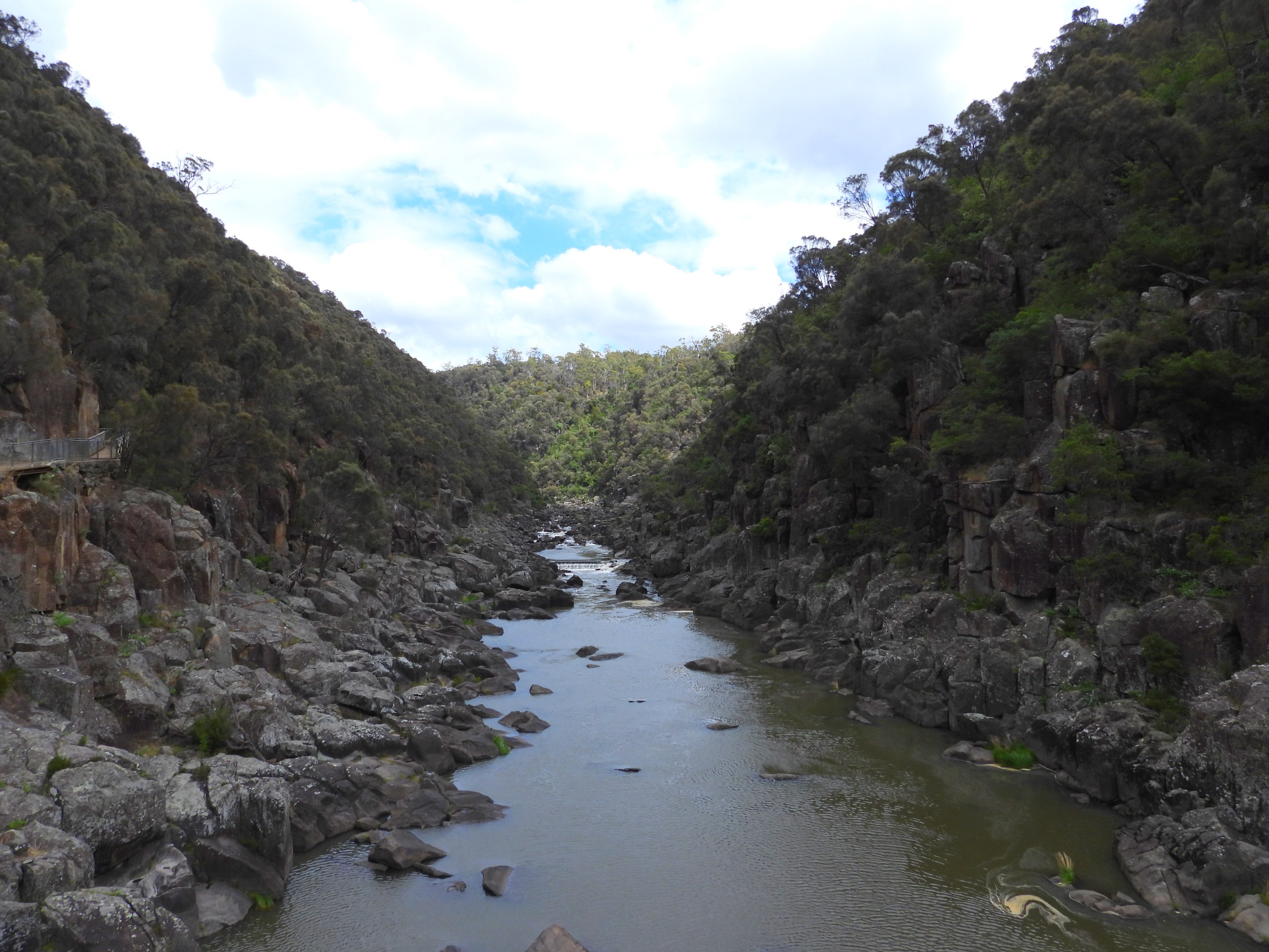 Cataract Gorge, Feb 2021 – Bird Spots