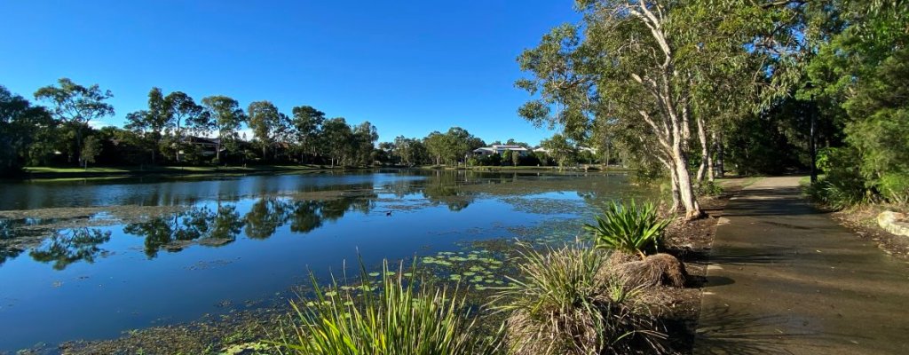 Forest Lake, 2021-2022 – Bird Spots