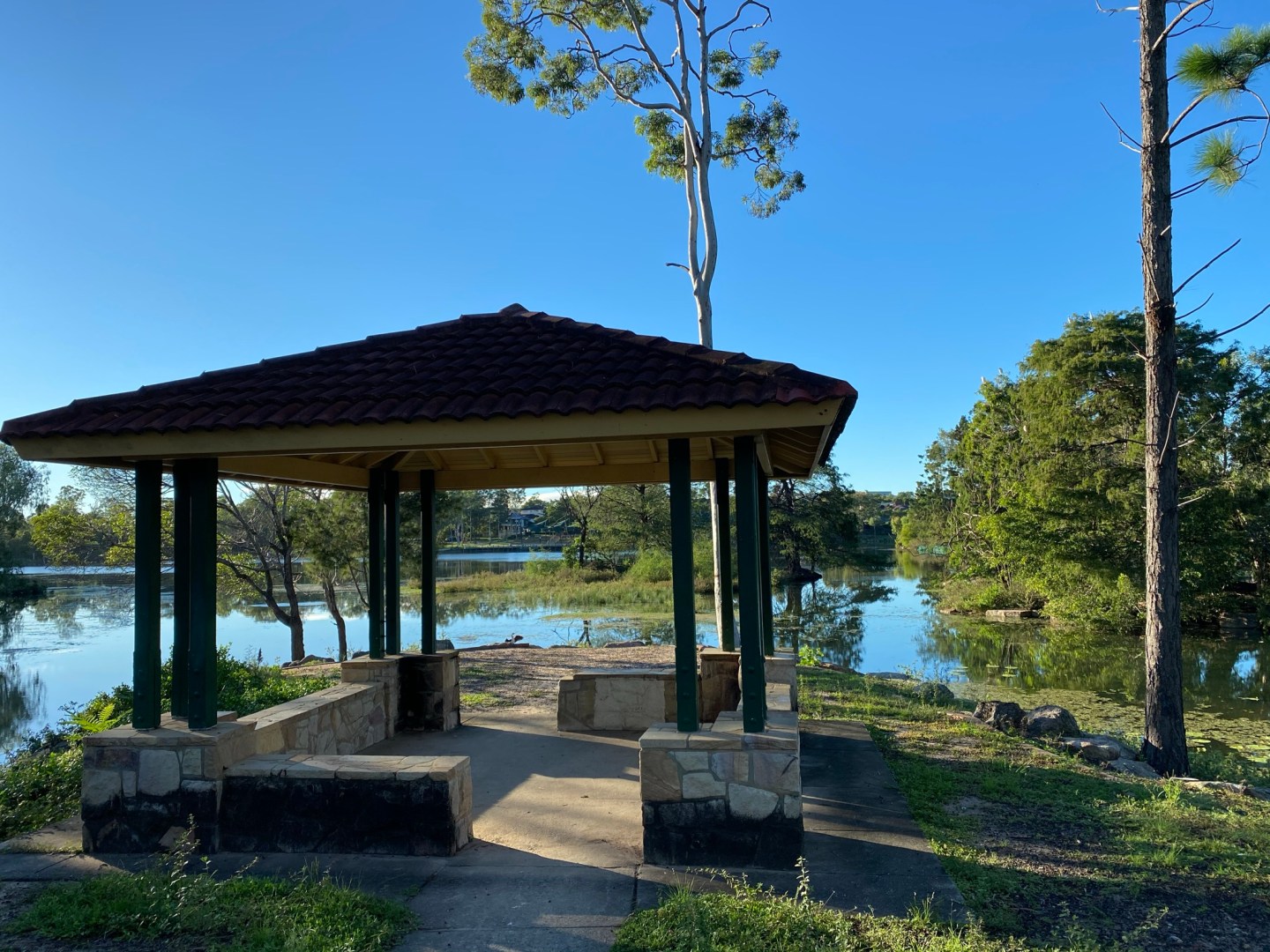 Forest Lake, 2021-2022 – Bird Spots