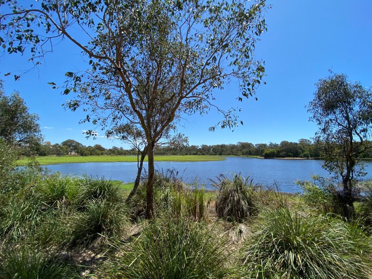Dowse Lagoon, 2020-2022 – Bird Spots