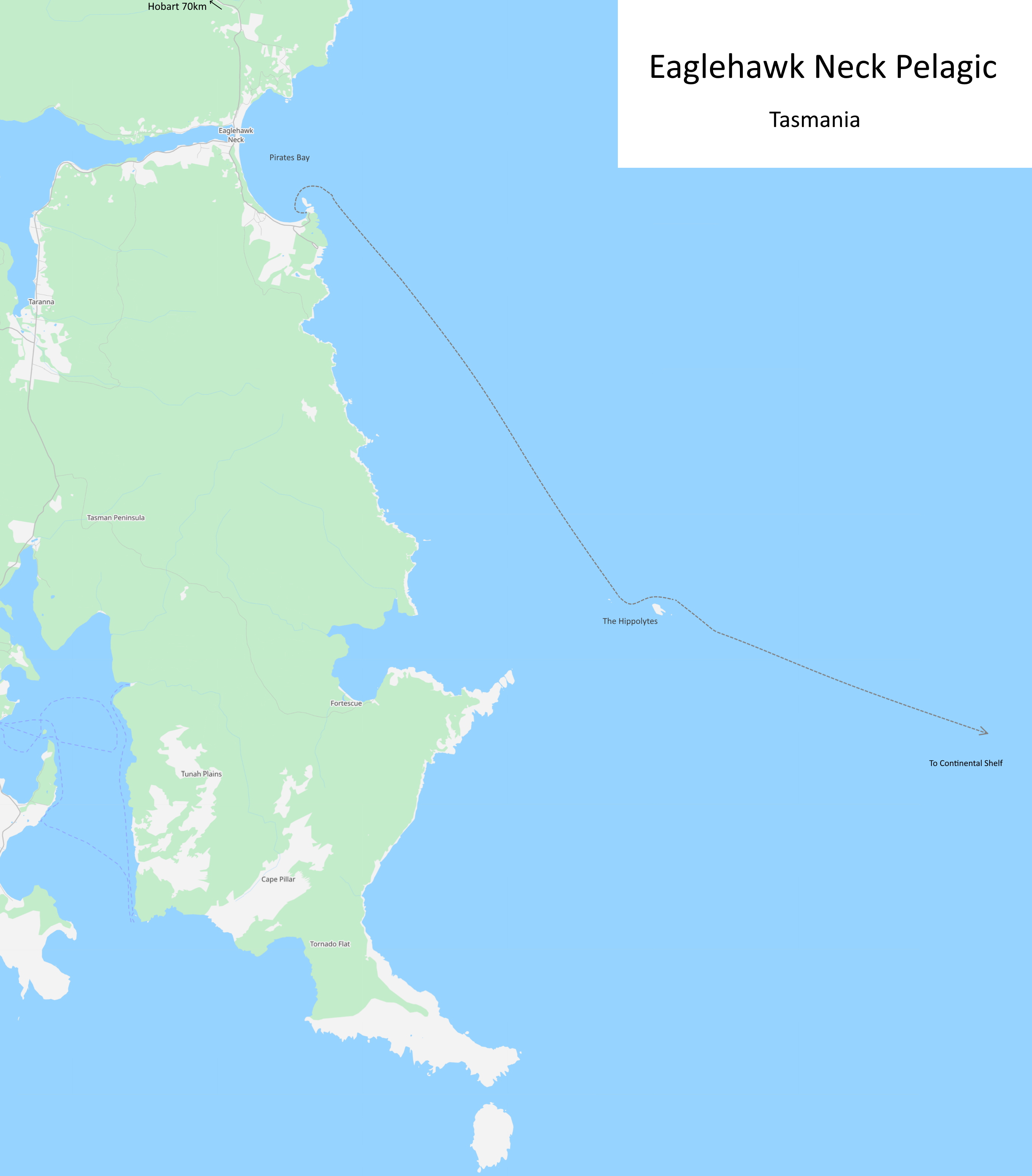 Eaglehawk Neck Pelagic, Jun 2023 – Bird Spots