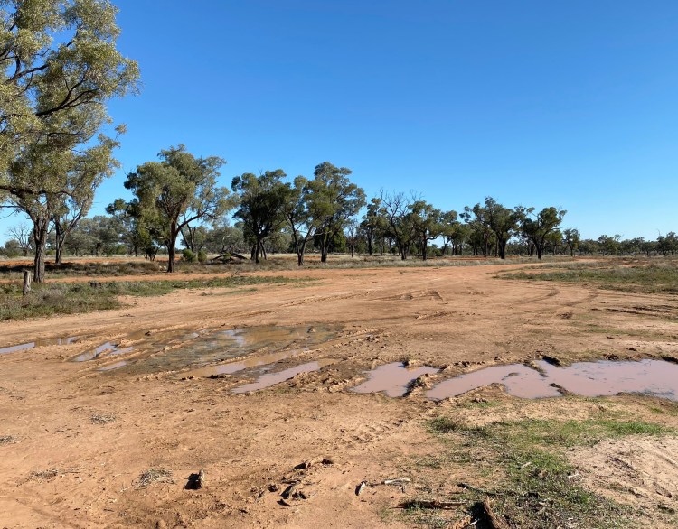 Charlotte Plains Station, Jul 2023 – Bird Spots