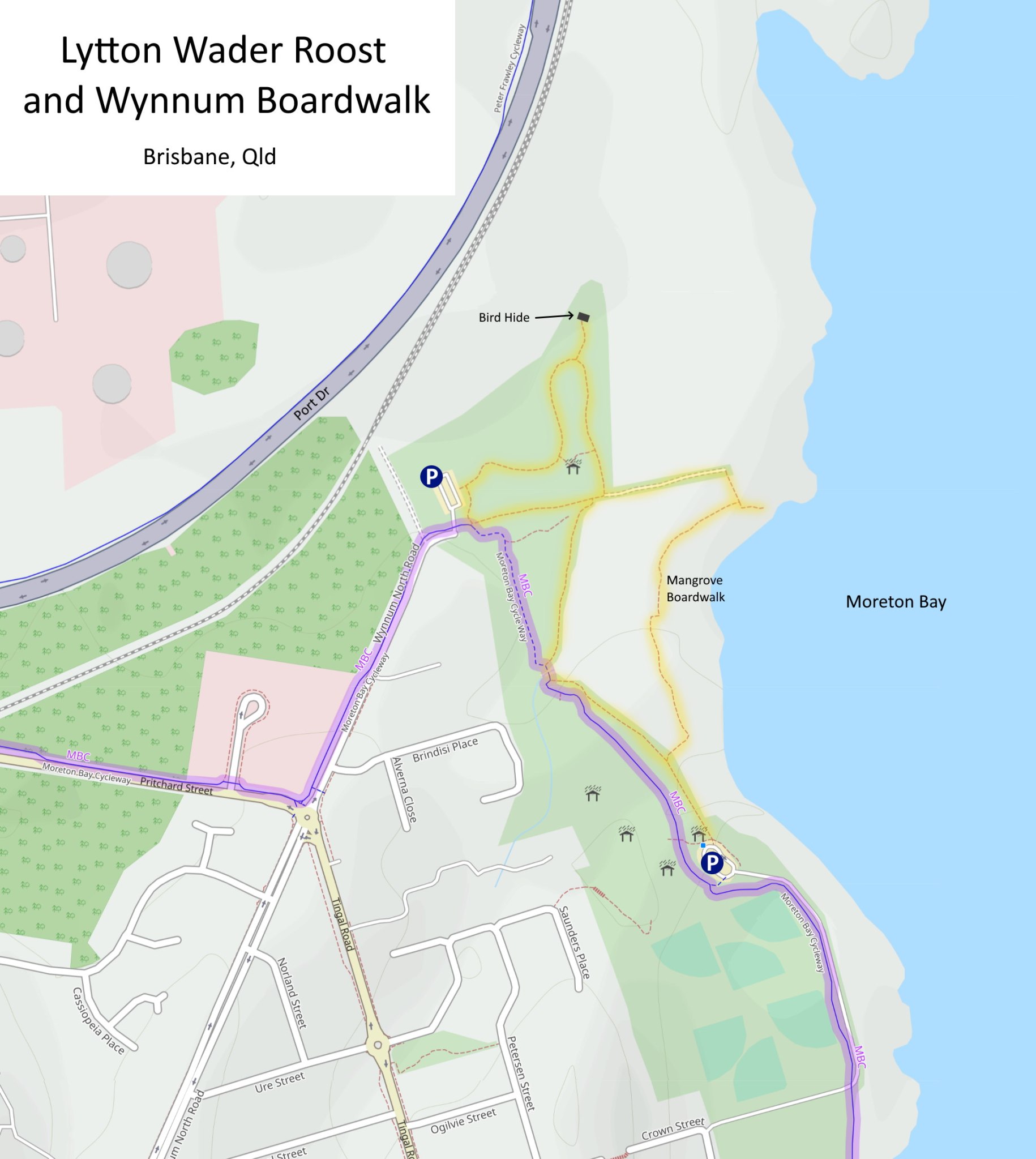 Lytton Wader Roost and Wynnum Boardwalk – Bird Spots
